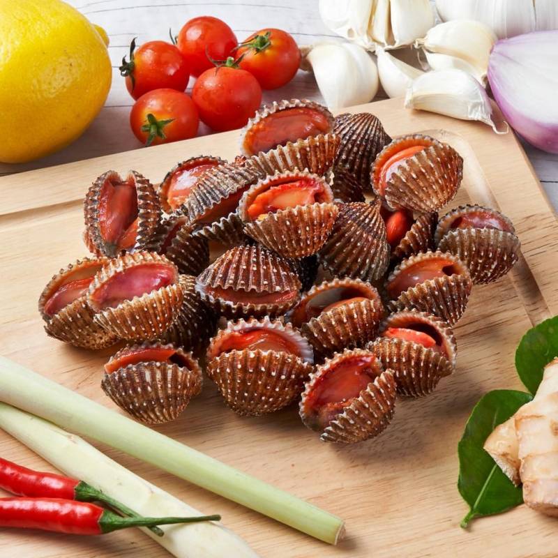 新鲜蛤粒 Fresh cockles