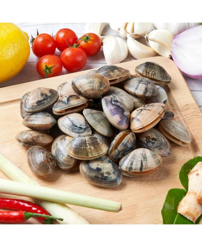 新鲜花啦 Fresh Flower Clam