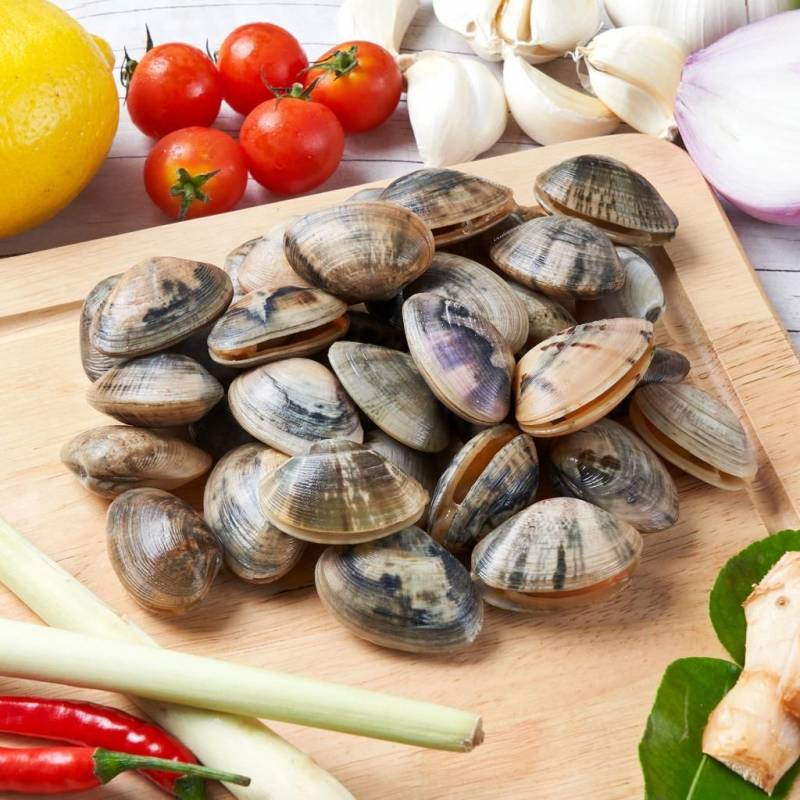 新鲜花啦 Fresh Flower Clam