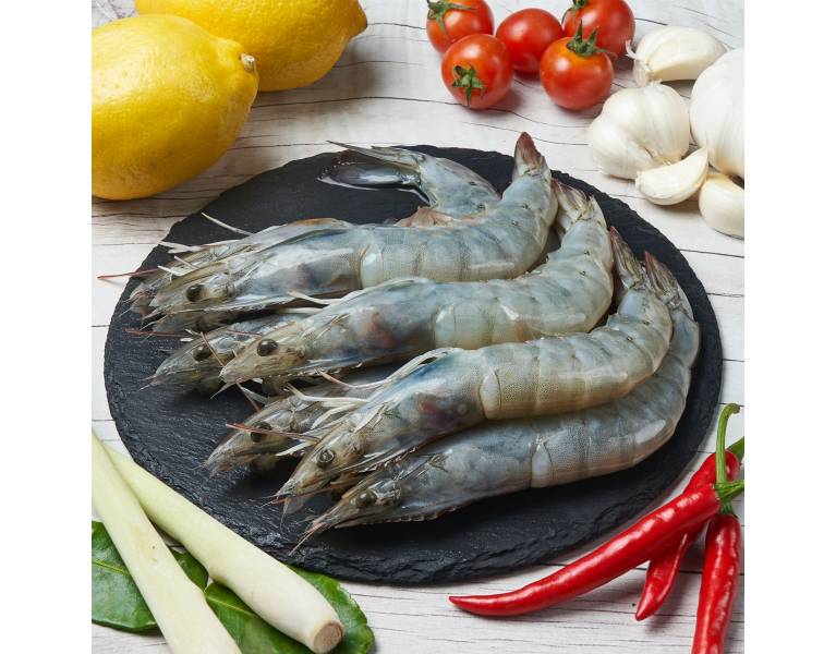 Siong Hong Seafood Enterprise Pte. Ltd.