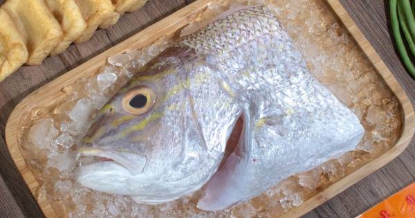 红哥里鱼头 ANGOLI FISH HEAD