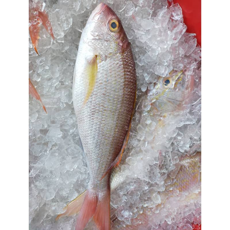 红哥里鱼 4-6 ANG GO LI FISH-CLEAN